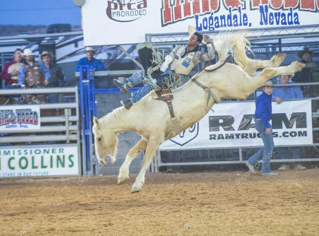 The Clark County Fair and Rodeo — Stock Editorial Photo © kobbydagan ...