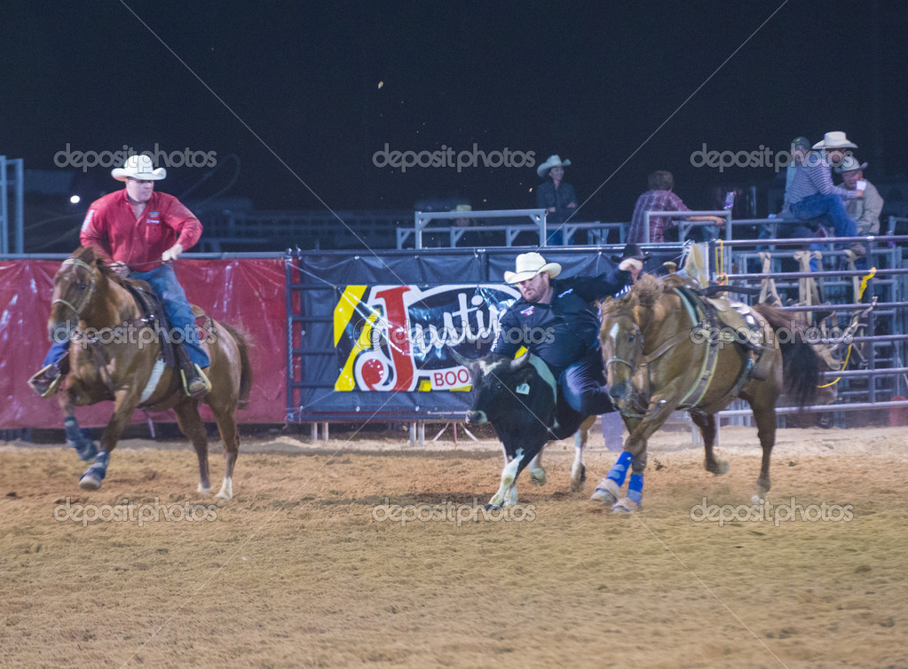 Clark County Fair and Rodeo — Stock Editorial Photo © kobbydagan #45610183