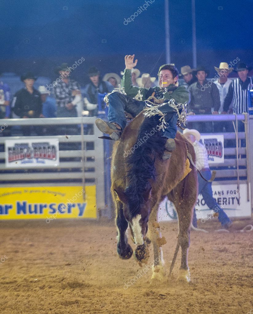 The Clark County Fair and Rodeo — Stock Editorial Photo © kobbydagan ...