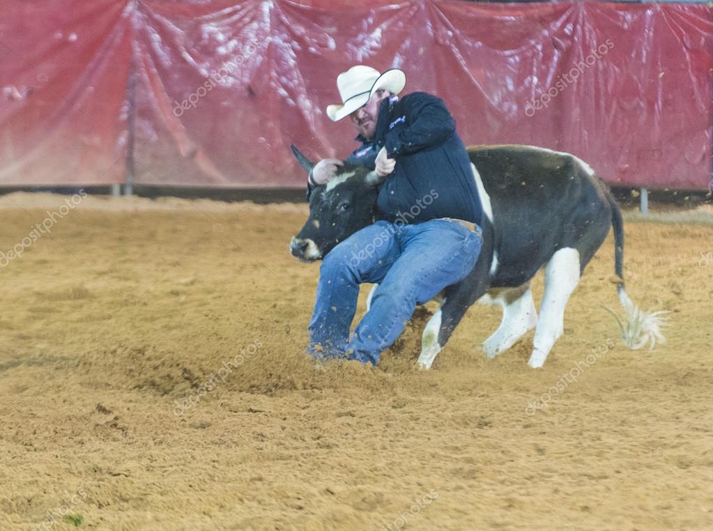 Clark County Fair and Rodeo — Stock Editorial Photo © kobbydagan #45611473