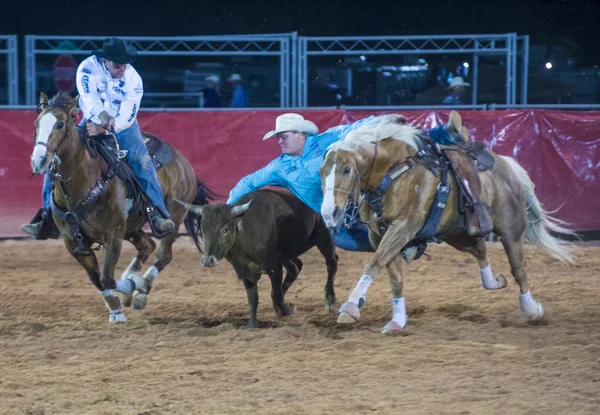 Rodeo silhouettes Stock Photos, Royalty Free Rodeo silhouettes Images ...