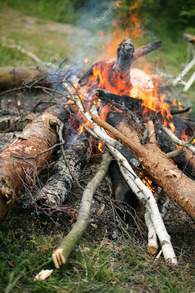 Bonfire campfire fire summer forest nature fire Stock Photo by ©LSaloni ...