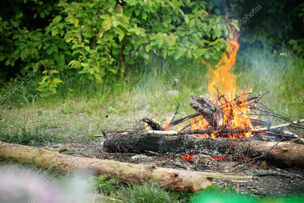 Bonfire campfire fire summer forest nature fire Stock Photo by ©LSaloni ...