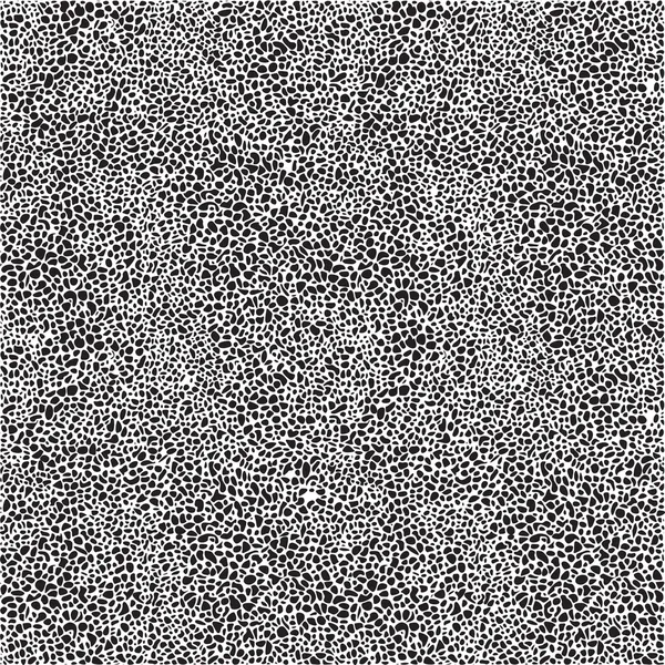 30,142,781 Sponge texture Vector Images | Depositphotos