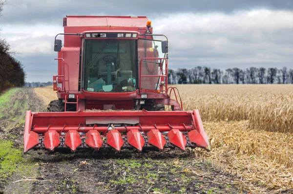 Scythe harvesting Stock Photos, Royalty Free Scythe harvesting Images ...