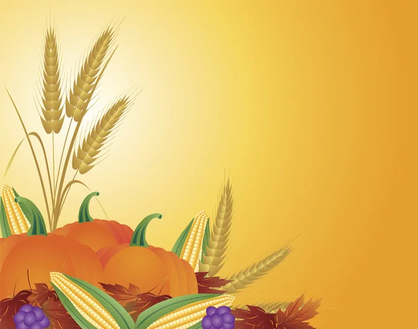 Fall harvest background Vector Art Stock Images | Depositphotos