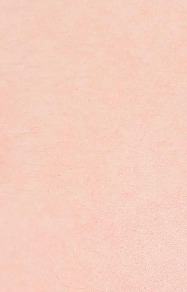 Textura de pele humana Stock Photos, Royalty Free Textura de pele ...