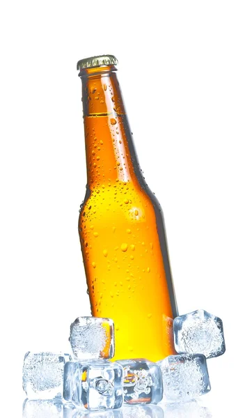 Fotos de Cerveja muito gelada, Imagens de Cerveja muito gelada sem ...