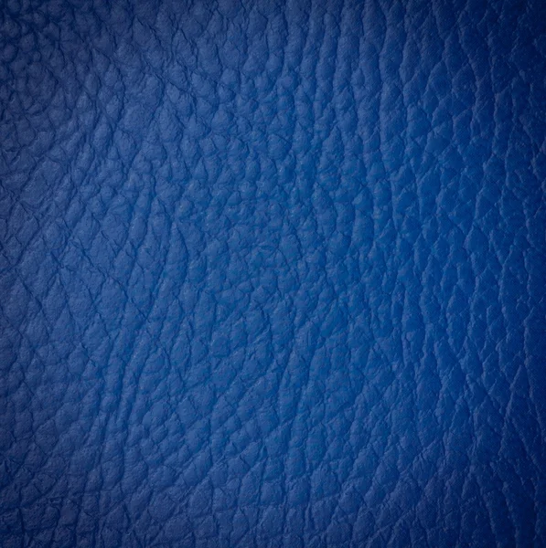 Blue leather Stock Photos, Royalty Free Blue leather Images | Depositphotos