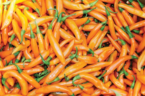 Orange Chili — Stock Photo © nuttakit #3190297