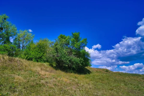 Blue sky prairie Stock Photos, Royalty Free Blue sky prairie Images ...