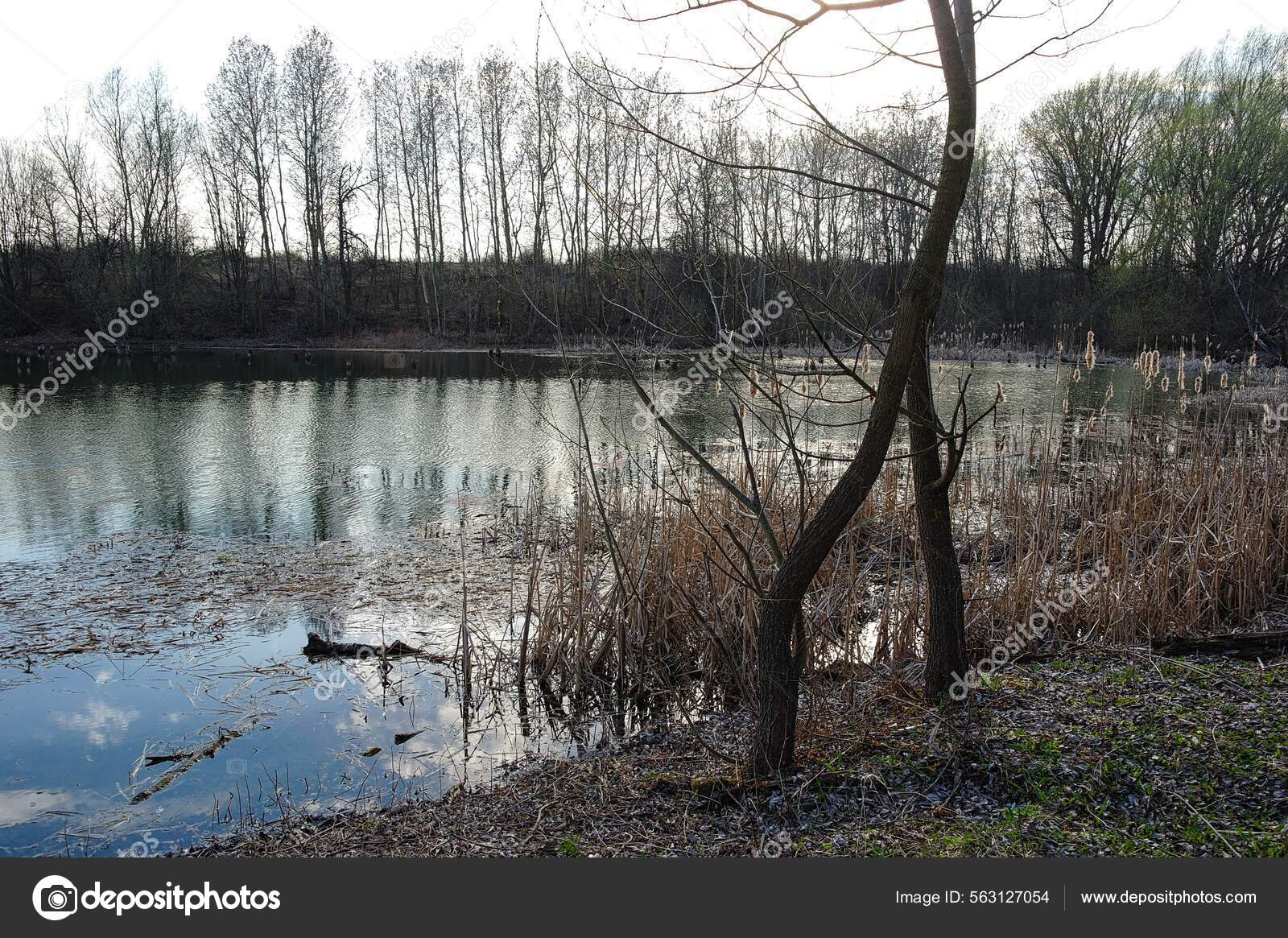 Beautiful Spring Landscape River — Stock Photo © yarikkk #563127054