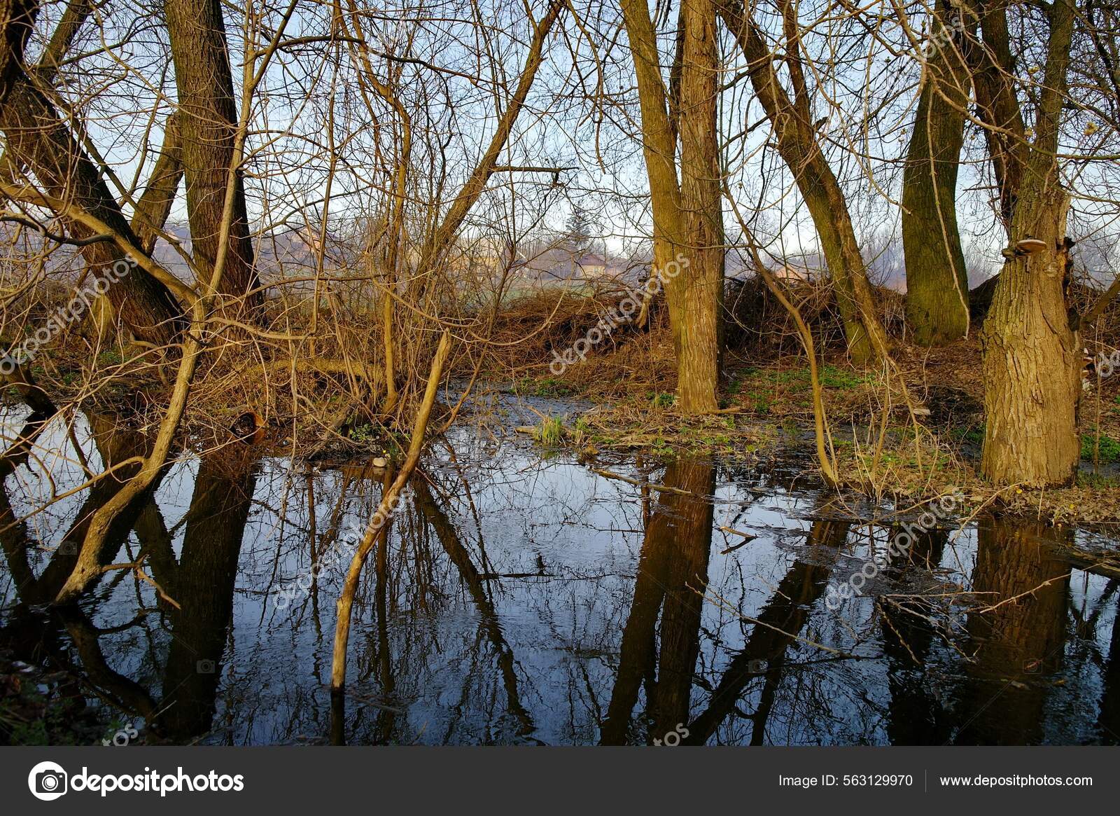 Beautiful Spring Landscape River — Stock Photo © yarikkk #563129970