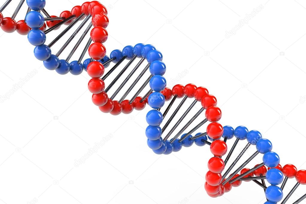 DNA structure Stock Photo by ©doomu 21230191