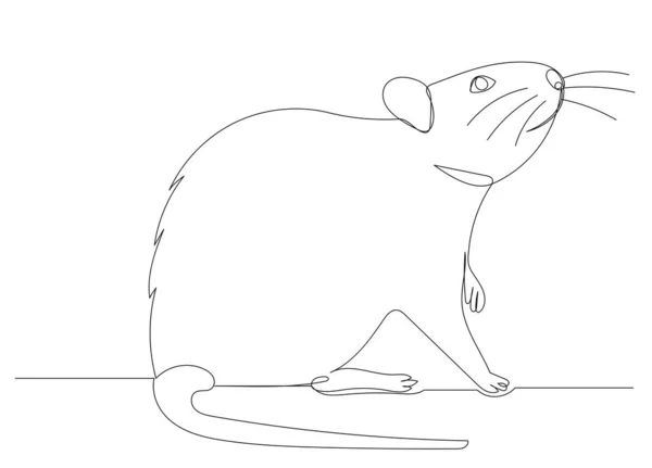 24,842,739 Rata dibujo Vector Images | Depositphotos