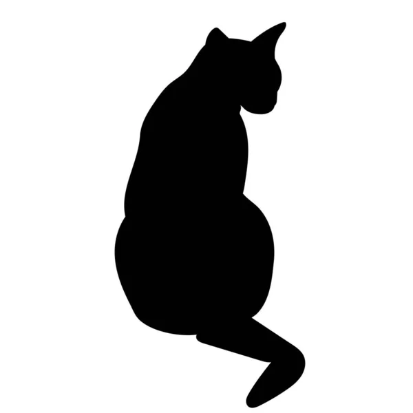 Cat silhouette back Stock Photos, Royalty Free Cat silhouette back ...
