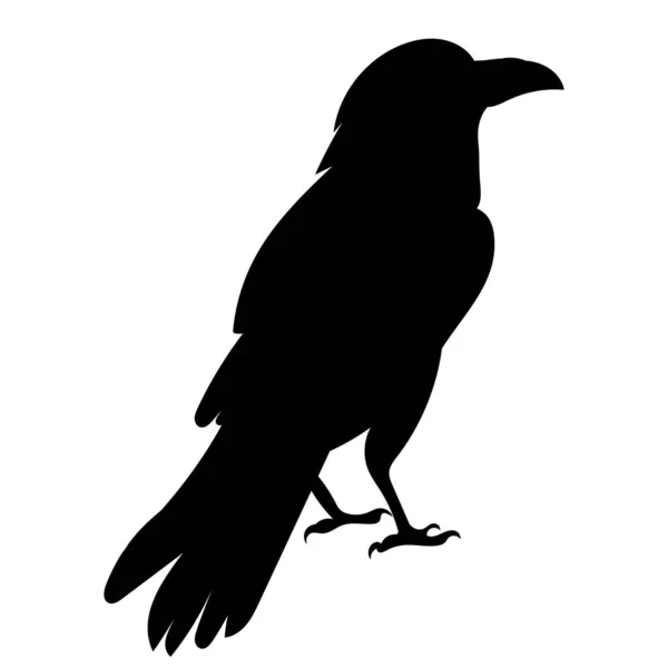 99 Cawing crow Vector Images, Cawing crow Illustrations | Depositphotos