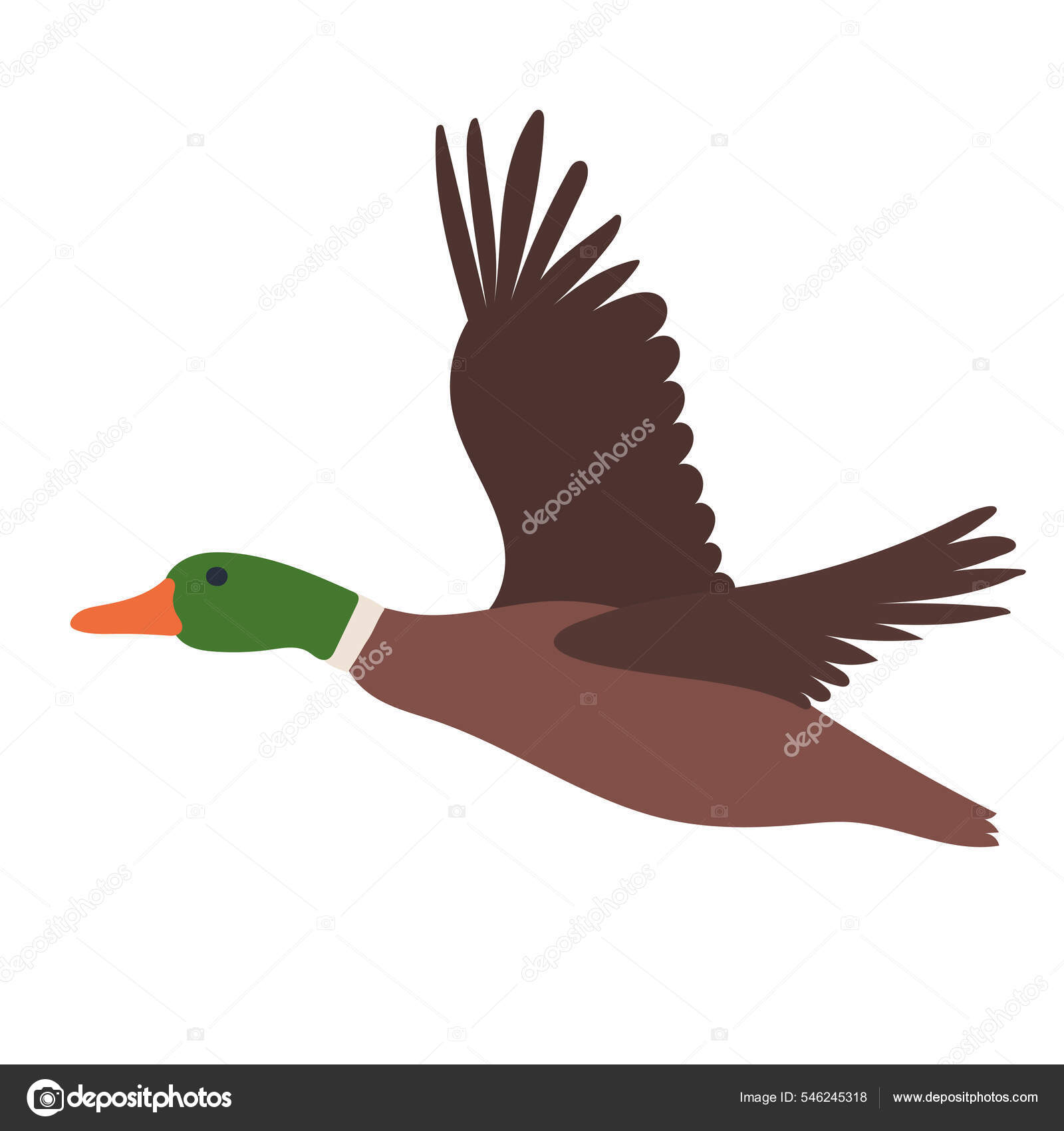 Diseño Plano Pato Volador Aislado Sobre Fondo Blanco Vector de stock ...