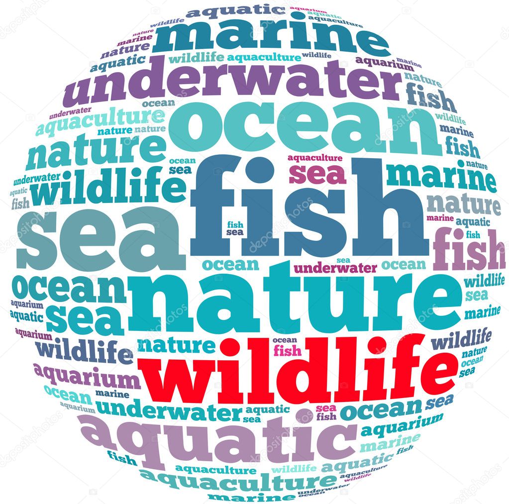 Info-text graphics and arrangement concept (word cloud) — Stock Photo ...