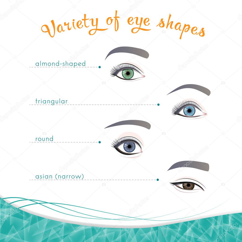 Variedad de formas de ojos sobre un fondo blanco a lo largo del ...