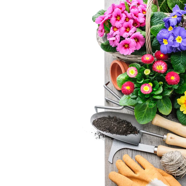 Gardening Stock Photos, Royalty Free Gardening Images | Depositphotos