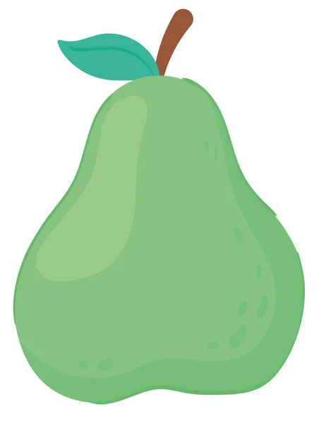 100,000 Pear muscle Vector Images | Depositphotos