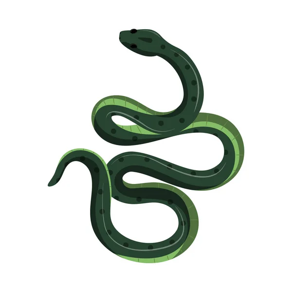 100,000 Green snake Vector Images | Depositphotos