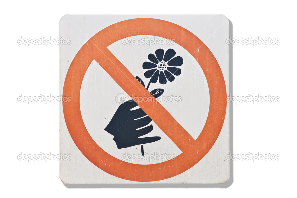 No Pick Flower Sign isolated on white background — Stock Photo ...