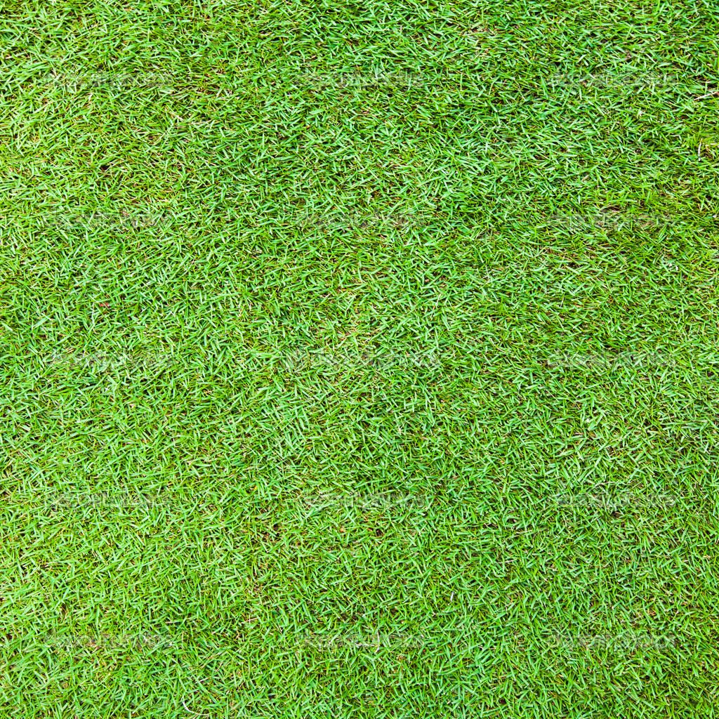 Texturise Seamless Golf Green Grass Texture Maps Texture Images