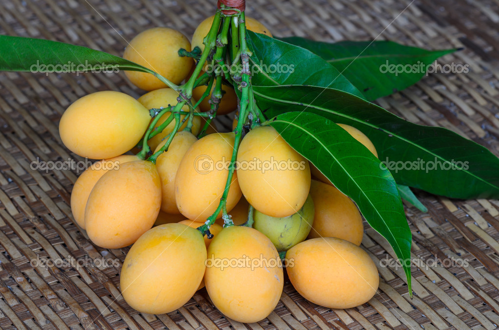 Sweet yellow Marian plum ,Plum mango, thailand — Stock Photo ...