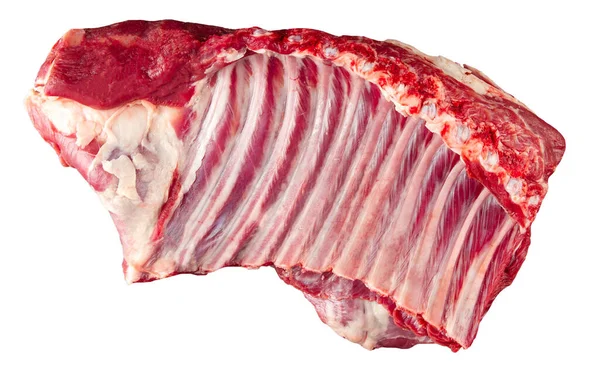 Rib anatomy Stock Photos, Royalty Free Rib anatomy Images | Depositphotos