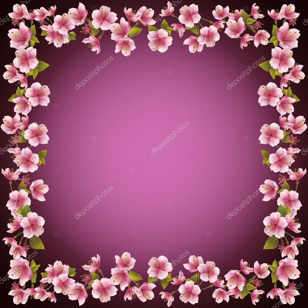 Floral frame, sakura blossom background, vector Stock Vector Image by ...
