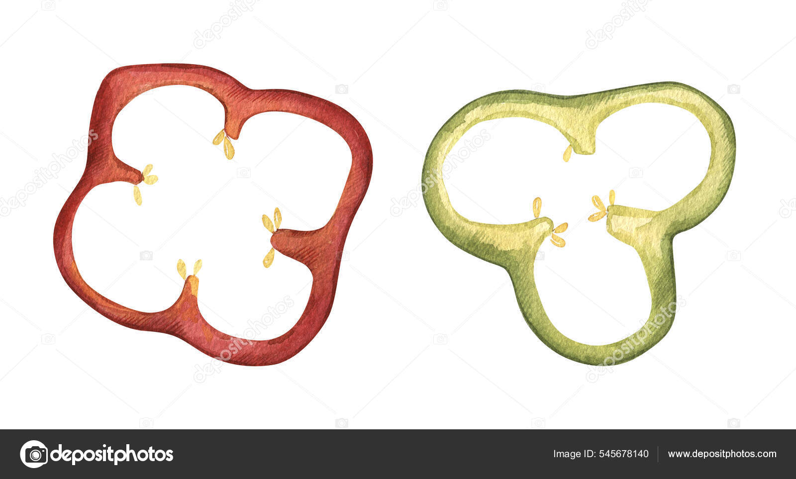 Eco food set menu background. Watercolor hand drawn vegetables red and ...