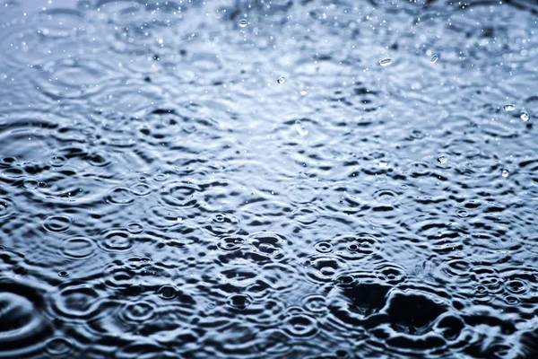 Rain drops Pictures, Rain drops Stock Photos & Images | Depositphotos®