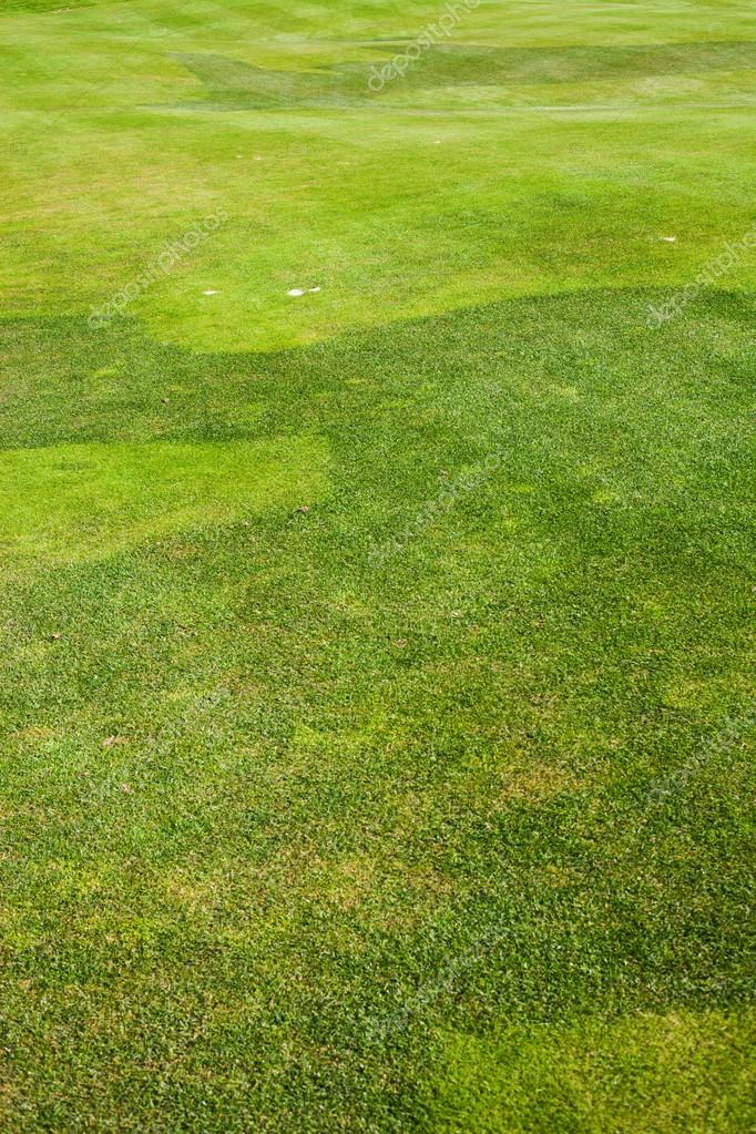 Green grass field background golf course Stock Photo by ©leszekglasner ...