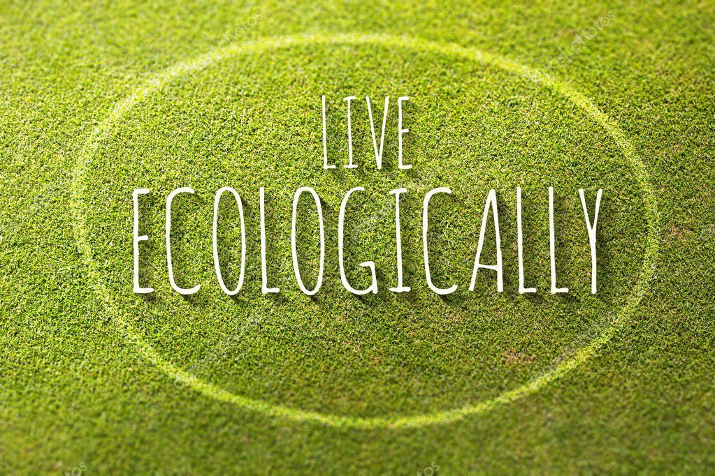 Live ecologically poster illustration of eco-friendly life — Stock ...