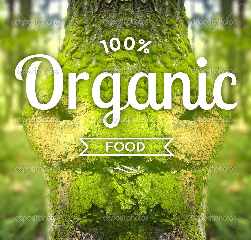 Organic food slogan on tree ecology concept — Stock Photo ...