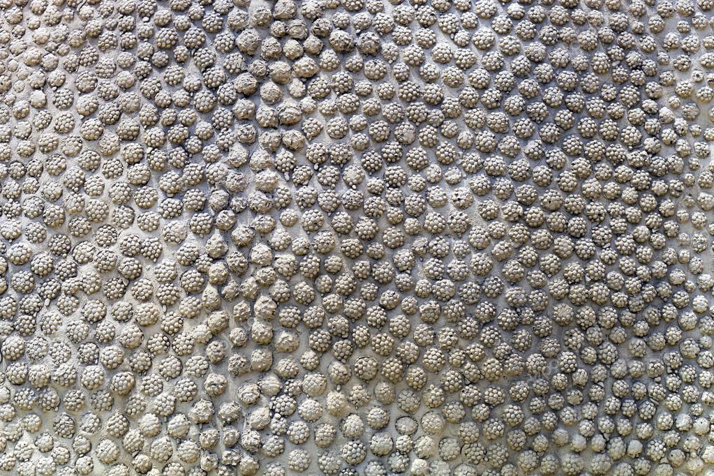 Abstract organic texture background — Stock Photo © leszekglasner #51382243