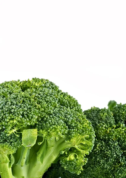 Broccoli Isolated White - Stock Image - Everypixel