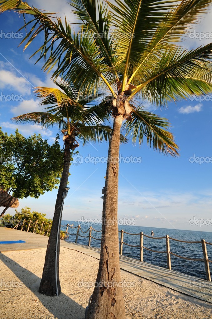 Florida Keys Stock Photo by ©welcomia 17180021