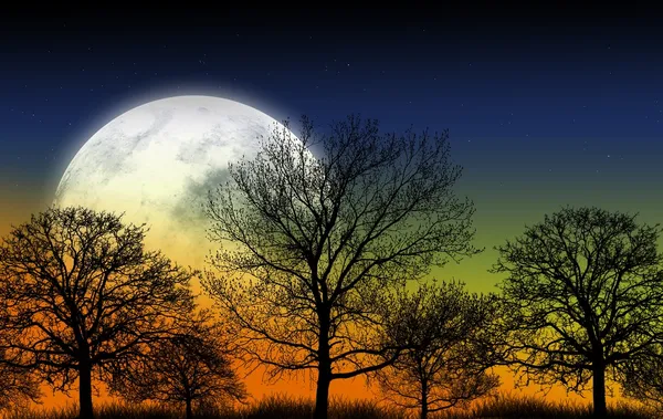 Full moon landscape Stock Photos, Royalty Free Full moon landscape ...