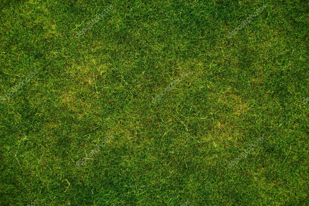 Dark Grass Texture Seamless
