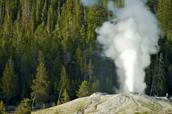 Florida volcano attractions Stock Photos, Royalty Free Florida volcano ...
