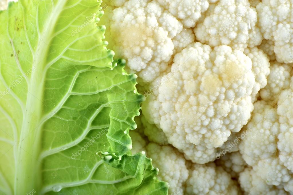 Cauliflower Closeup — Stock Photo © welcomia #18223579