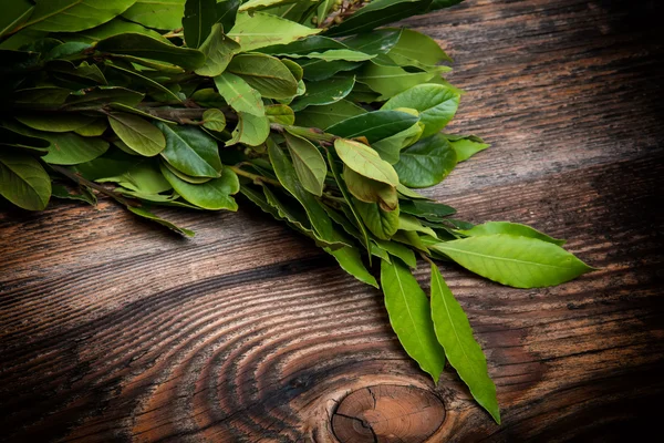 Rama de laurel hojas de laurel en una tabla de madera 2024