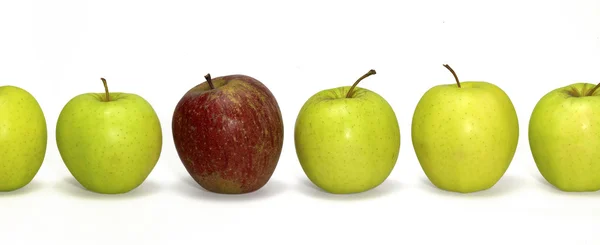 Apple growth stages Stock Photos, Royalty Free Apple growth stages ...