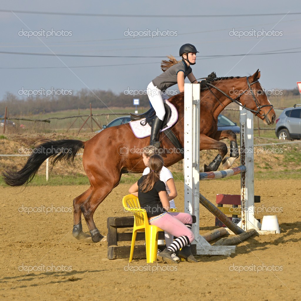 Horse at jumping competition Stock Photo by ©muro 34740263 Horse at jumping competition Stock Photo by ©muro 34740263