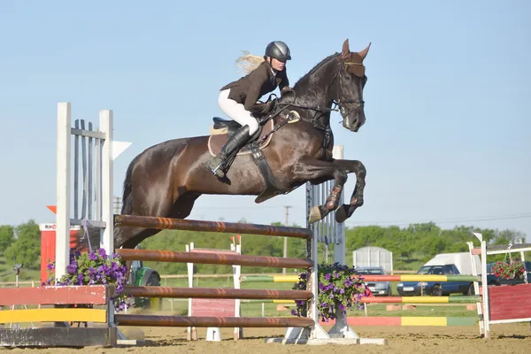 Show jumping rider - Stock Image - Everypixel