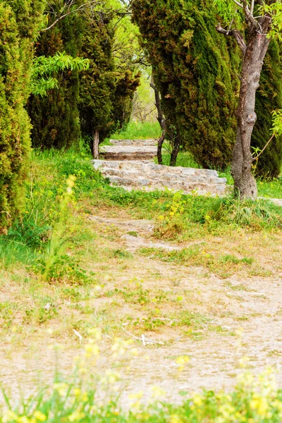 Path through a forest park, vertical shot - Stock Image - Everypixel