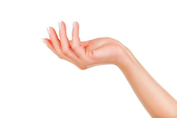 Woman's hand Stock Photo by ©artem_furman 30441507